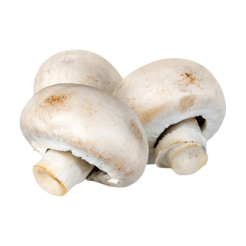 Button Mushroom (500 g) - Send Gifts and Money to Nepal Online from www ...