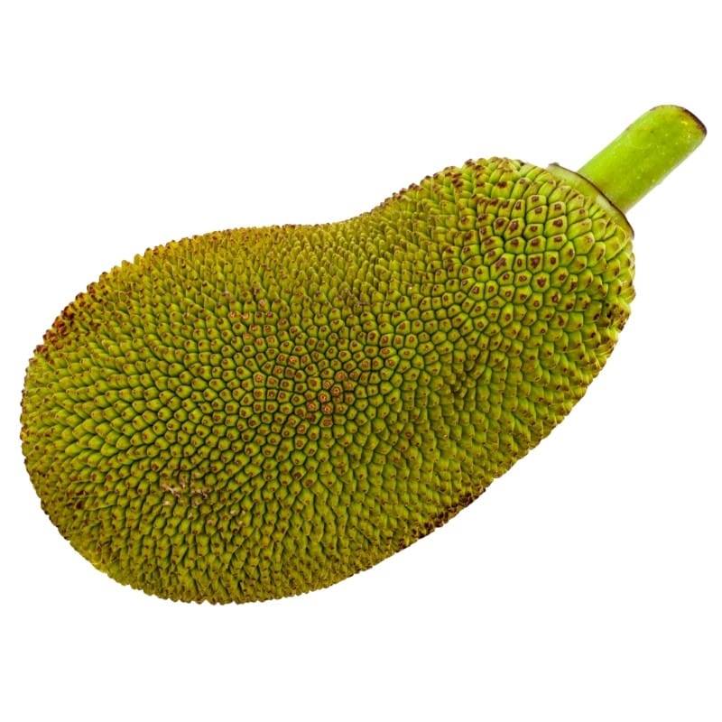 Jack Fruit (Katahar) (1 kg) - Send Gifts and Money to Nepal Online from ...